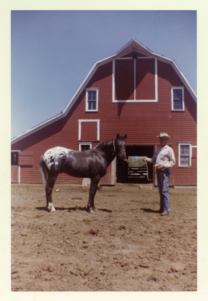 The Grooms’ Heritage Barn. How a Family Restored their 1915 Stockman’s ...